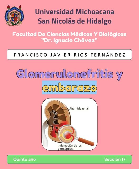Glomerulonefritis y Embarazo | Javier Rios | uDocz
