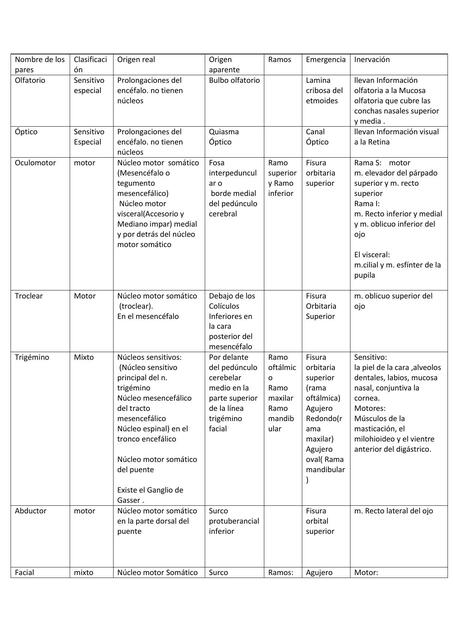 Tabla de Pares Craneales | Aliovys Caltona La Rosa | uDocz