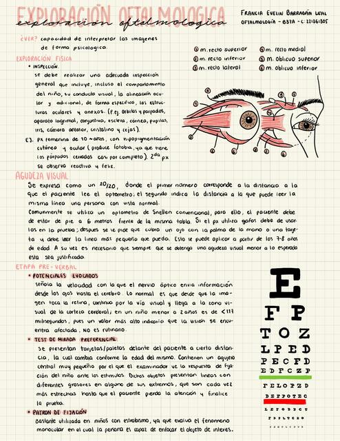 Resúmenes de Exploración oftalmológica | Descarga apuntes de ...