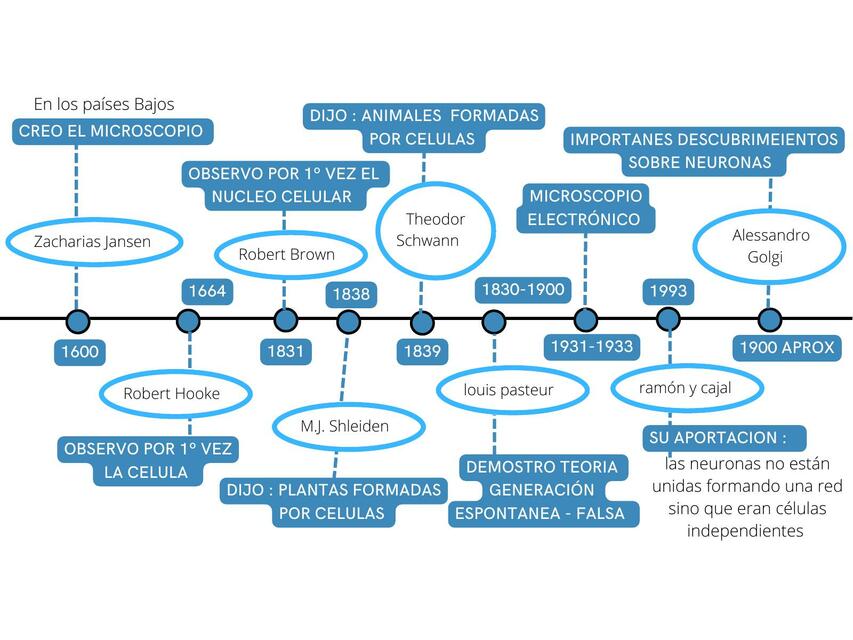 Teoria Celular Linea Del Tiempo Udocz – Themelower Teoria Celular Linea Del Tiempo Udocz – Themelower