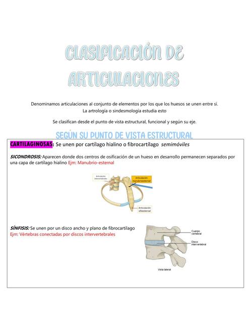 Clasificación de articulaciones | Angie Cruz | uDocz