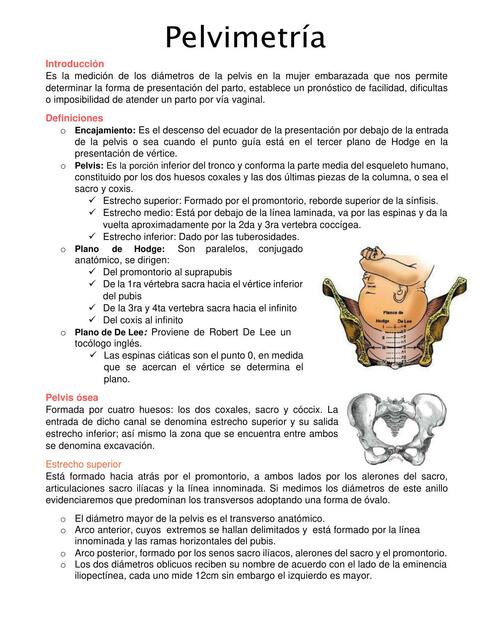 Pelvimetría | Susana Gonzales | uDocz