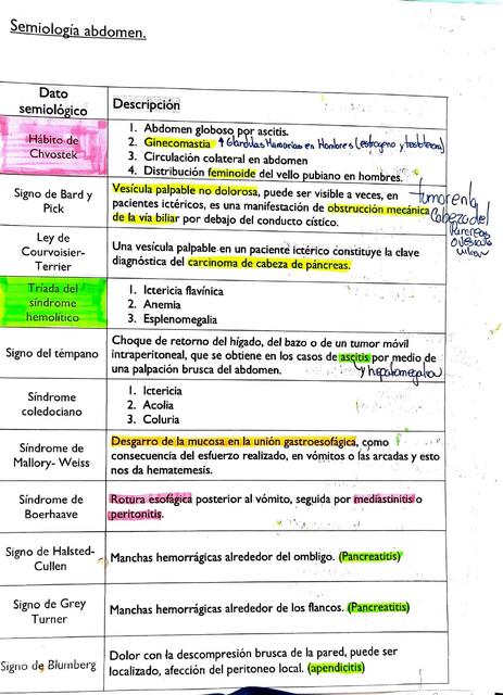Semiología de Abdomen | Yaraby Flores | uDocz