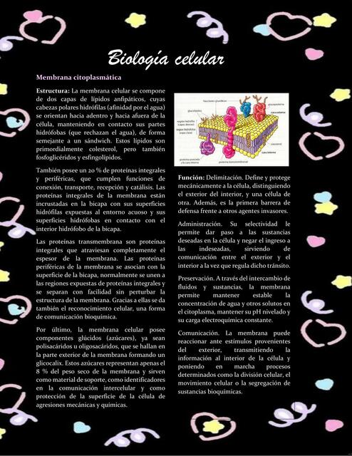 Biología Celular | Ana_Study | uDocz