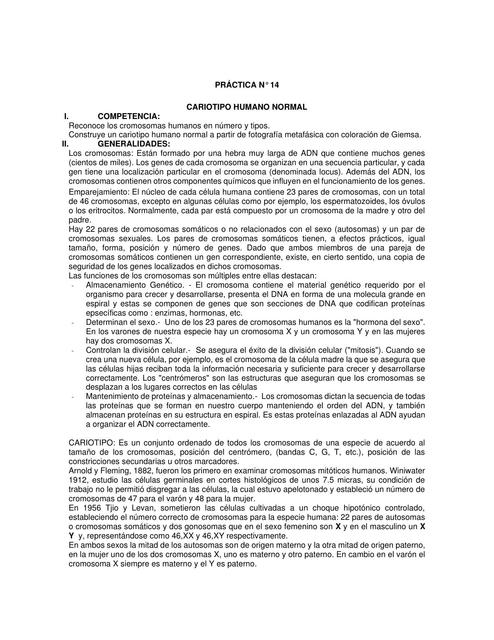 Cariotipo Humano Normal | ali | uDocz