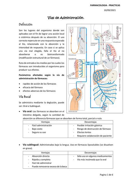 Vías de Administración | Danitza | uDocz