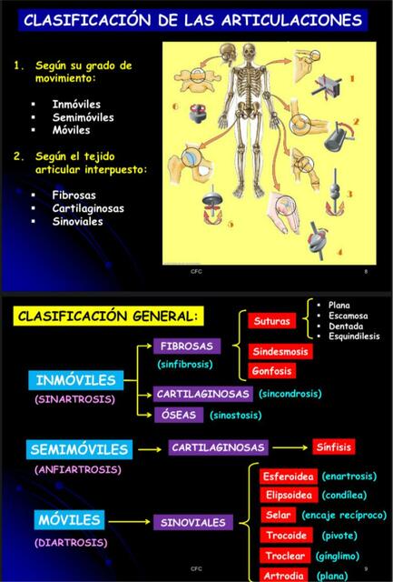 Clasificación de articulaciones | Ailen Olmedo | uDocz