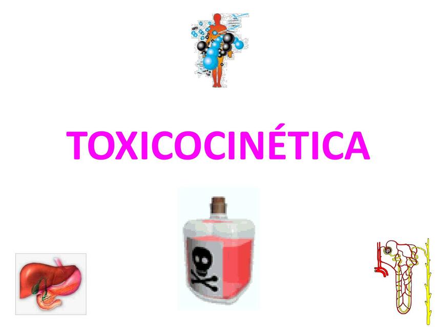 Toxicocinética y Toxicodinamia | Forensic.notes | uDocz