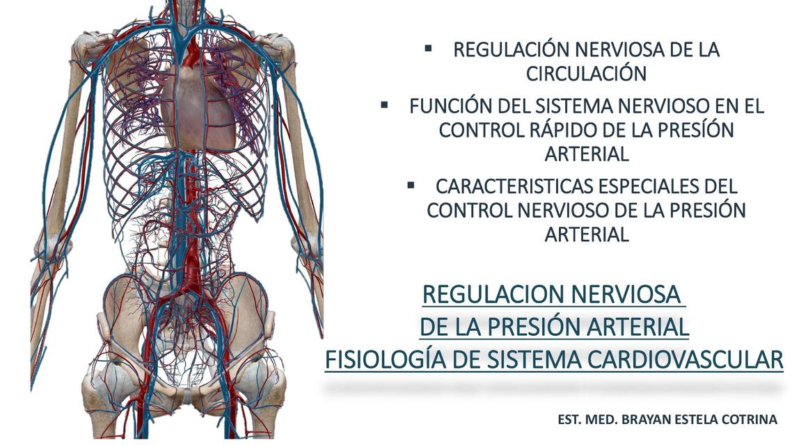 Fisiología nerviosa de la circulación | Brayan Abel Estela Cotrina | uDocz Fisiología nerviosa de la circulación | Brayan Abel Estela Cotrina | uDocz