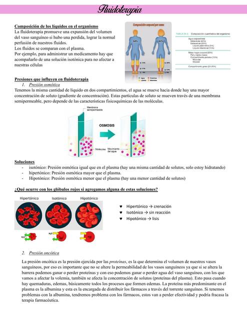 Fluidoterapia- Transcrito y Apuntes | Natalia Adriazola | uDocz