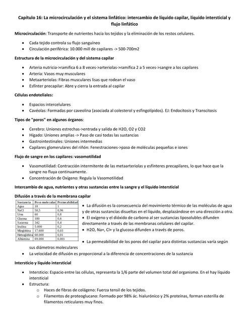 Capítulo 16: La microcirculación y el sistema linfático: intercambio de ...