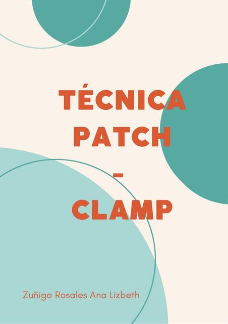 Técnica patch - clamp | Ana_Study | uDocz