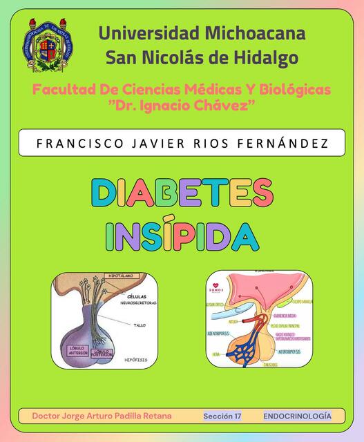 Diabetes insípida | Javier Rios | uDocz