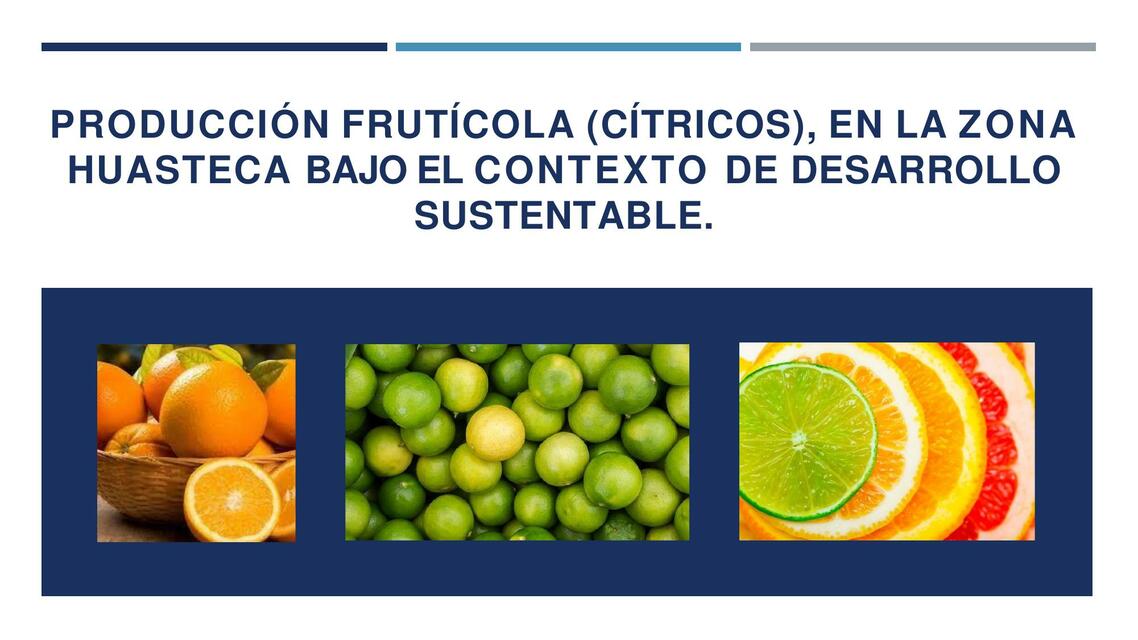 Producción frutícola (cítricos), en la zona Huatesca bajo el contexto ...