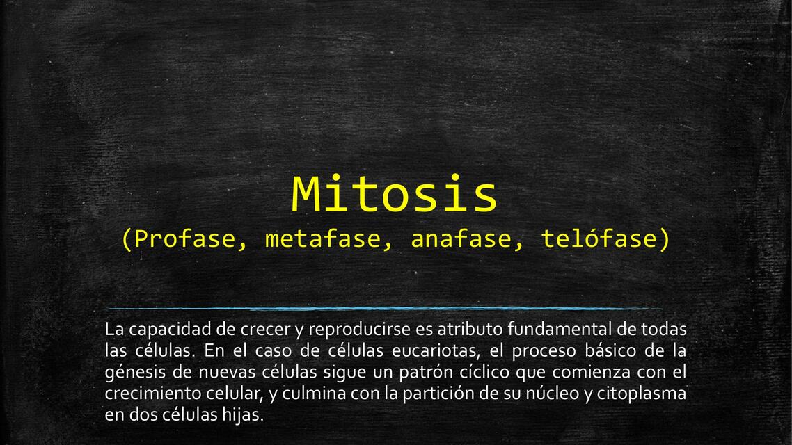 Mitosis: Profase, metafase, anafase, telófase | Vanessa J | uDocz
