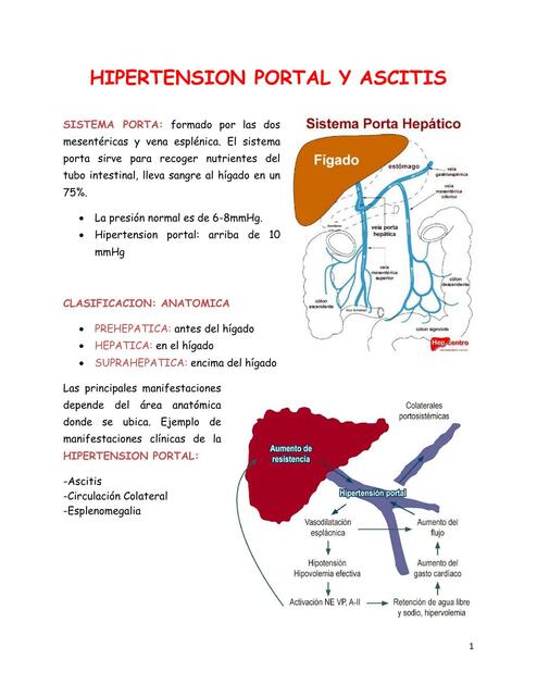 Hipertensión Portal y Ascitis | medicina eli | uDocz
