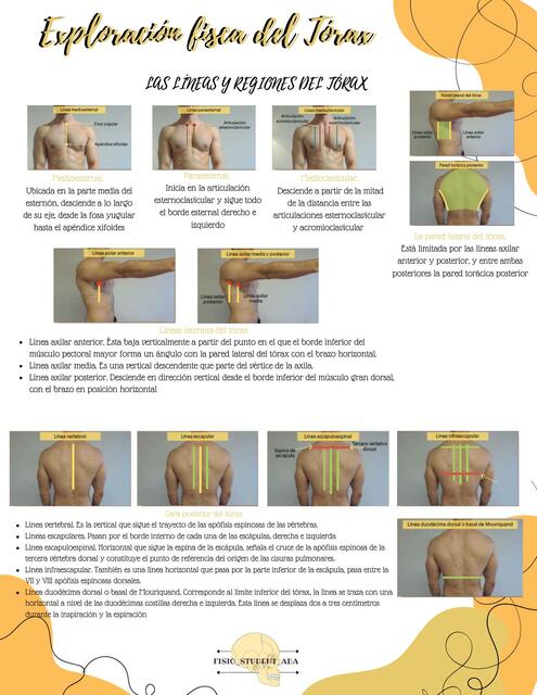 Exploración Fisca del Tórax | Fisio.Ada | uDocz