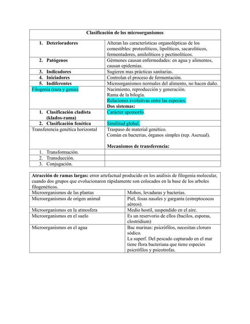Clasificación de los Microorganismos | uDocz