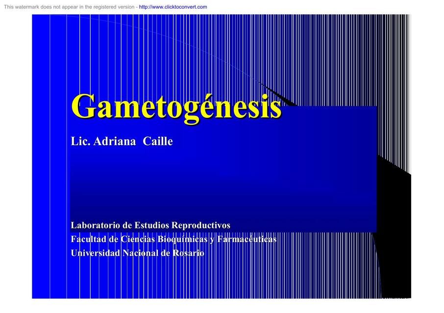 Gametogenesis | José Cortez | uDocz