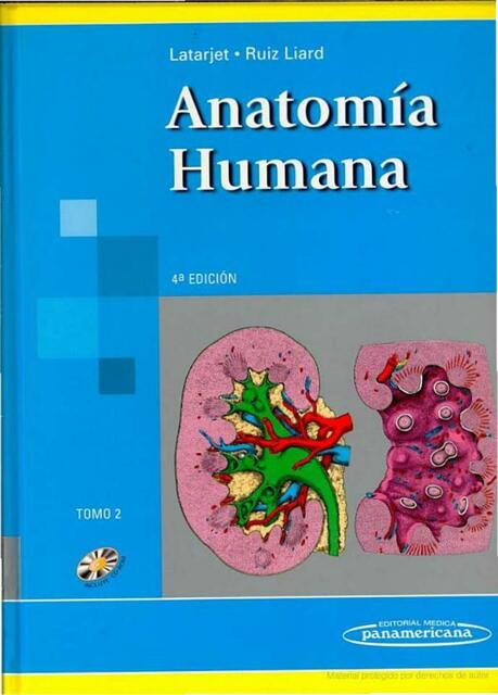 Anatomía Humana | Jose Angel | uDocz