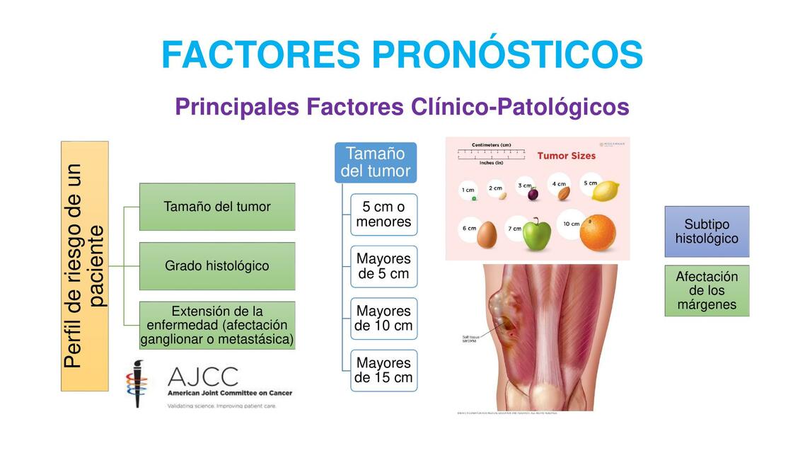 Factores pronósticos. Principales factores clínico patológicos | Maria ...