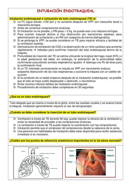 Intubación Endotraqueal a Neonatos en RCP | AYDE MORENO | uDocz Intubación Endotraqueal a Neonatos en RCP | AYDE MORENO | uDocz