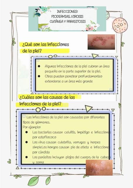 Infecciones: Piodermias, virosis cutánea y parasitosis | Elizabeth ...