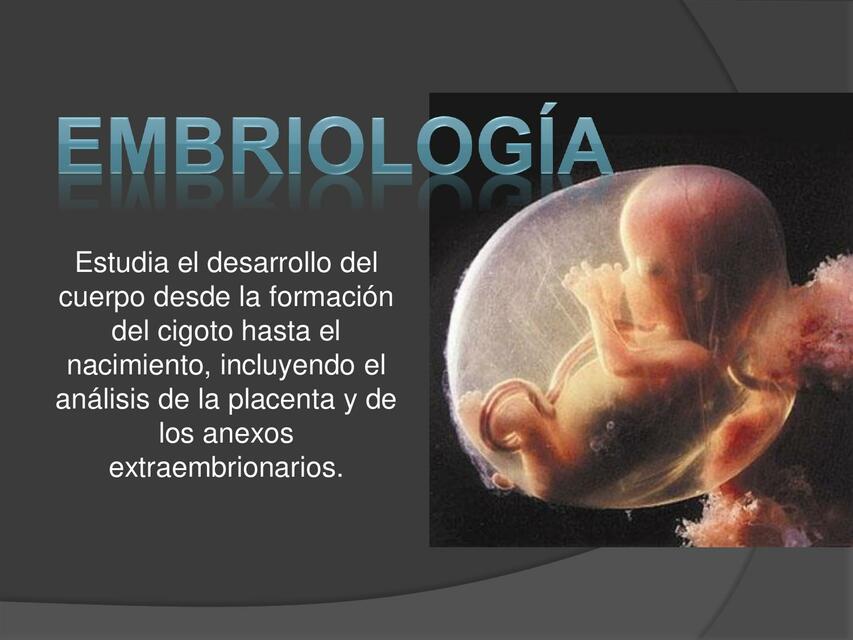 Embriología | GMVALE | uDocz