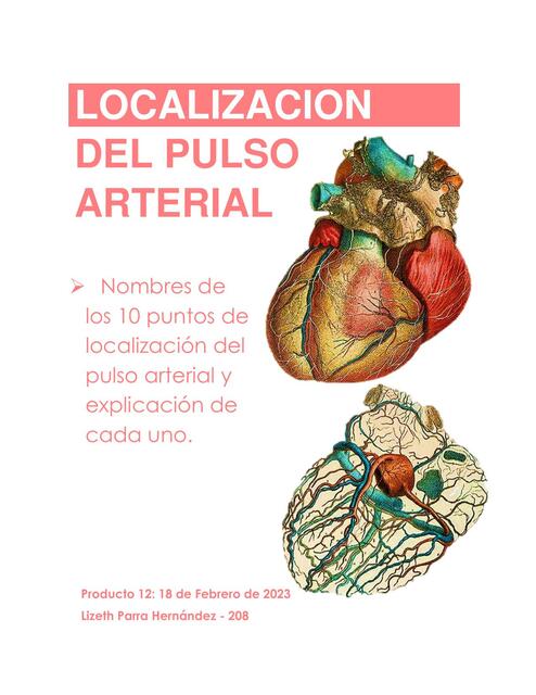 Localización del Pulso Arterial | Liz Parra | uDocz