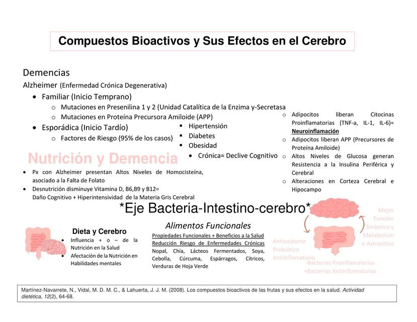 Compuestos Bioactivos y Cerebro | María Zazueta | uDocz