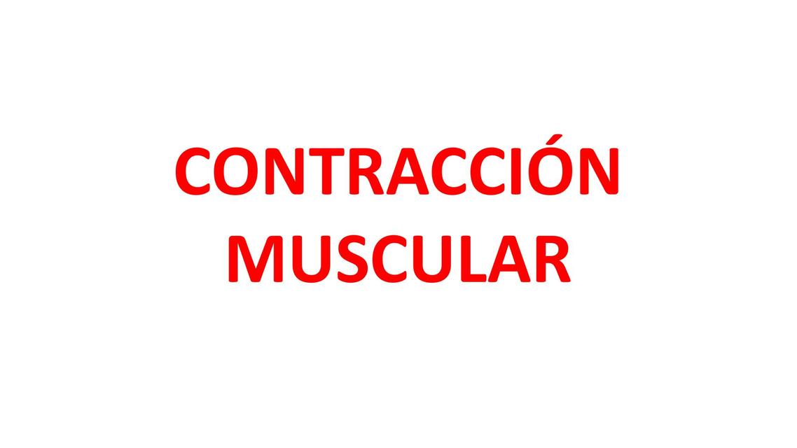Resúmenes de Contracción muscular | Descarga apuntes de Contracción ...