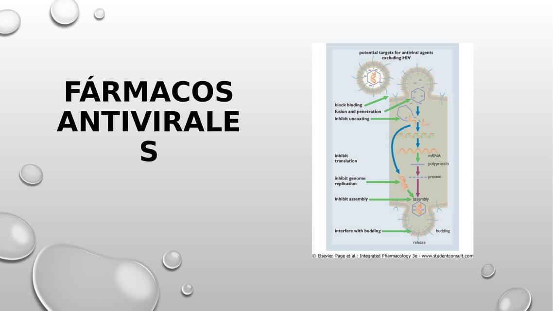 Fármacos Antivirales | vianet filion | uDocz