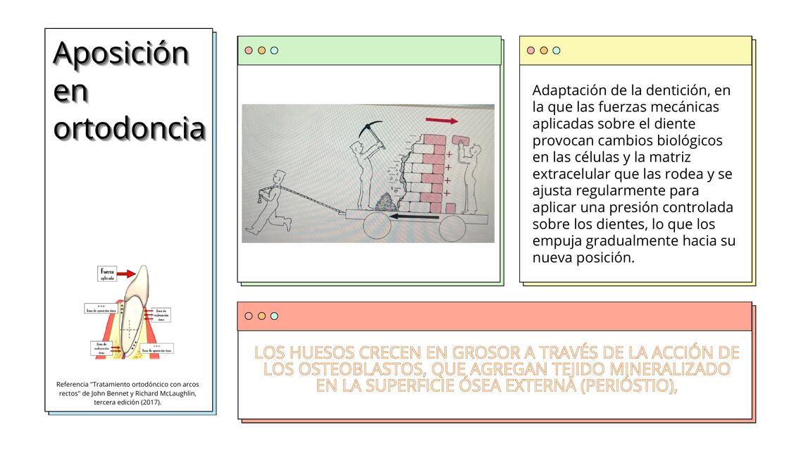 Resúmenes de Aposición dental | Descarga apuntes de Aposición dental
