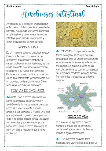 Amebiasis Intestinal | vitor nunes | uDocz