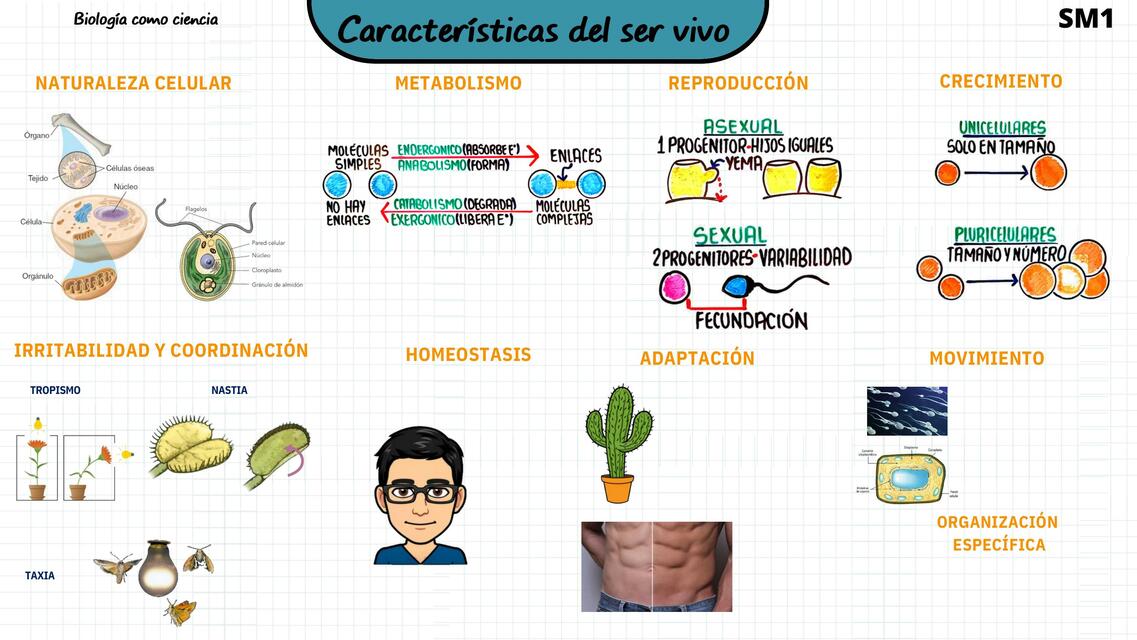 Características de los seres vivos | Chopi_preuniversitaria | uDocz