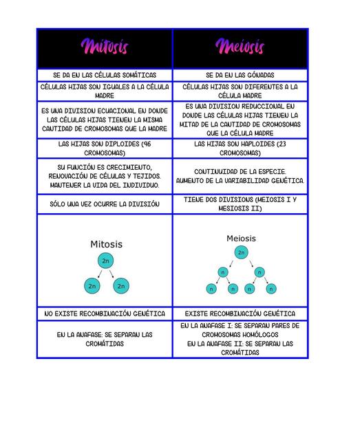 CUADRO MITOSIS Y MEIOSIS | María José Gutiérrez Hurtado | uDocz