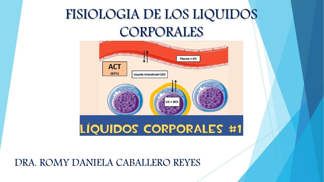 Fisiología de los Líquidos Corporales | Daniela Caballero Reyes | uDocz