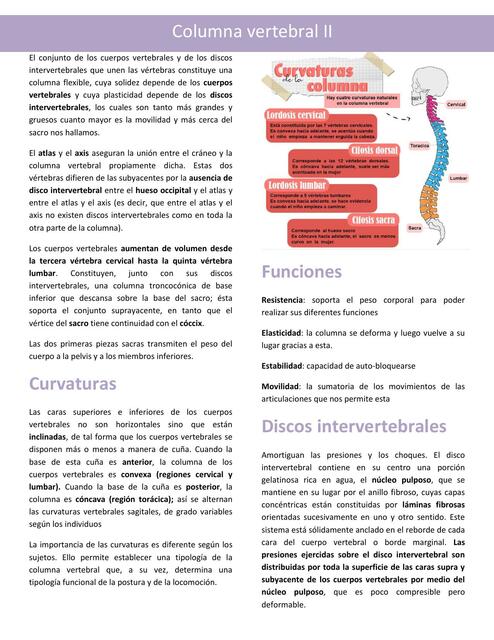 Columna vertebral II | Camila Mendez | uDocz