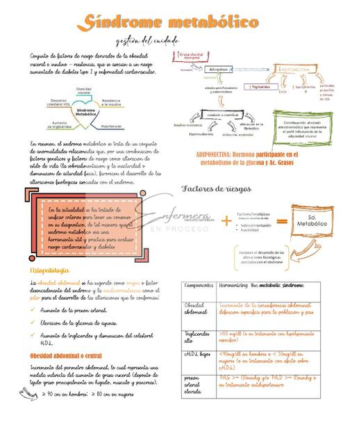 Síndrome Metabólico | Daniela Puingan | uDocz