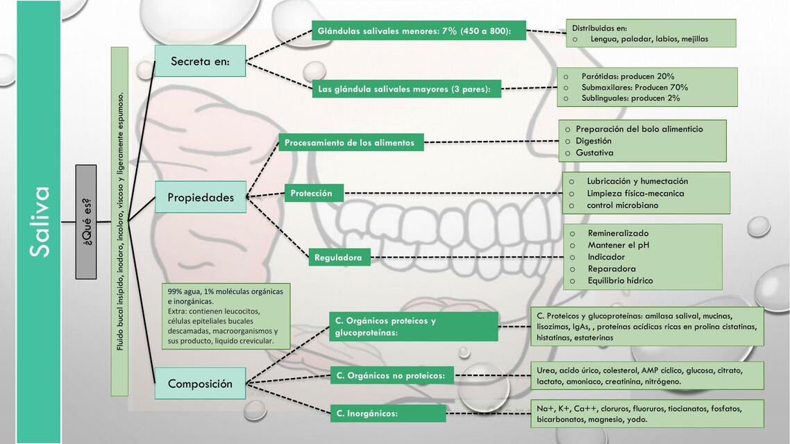 Saliva | Yulissa Vquezz | uDocz