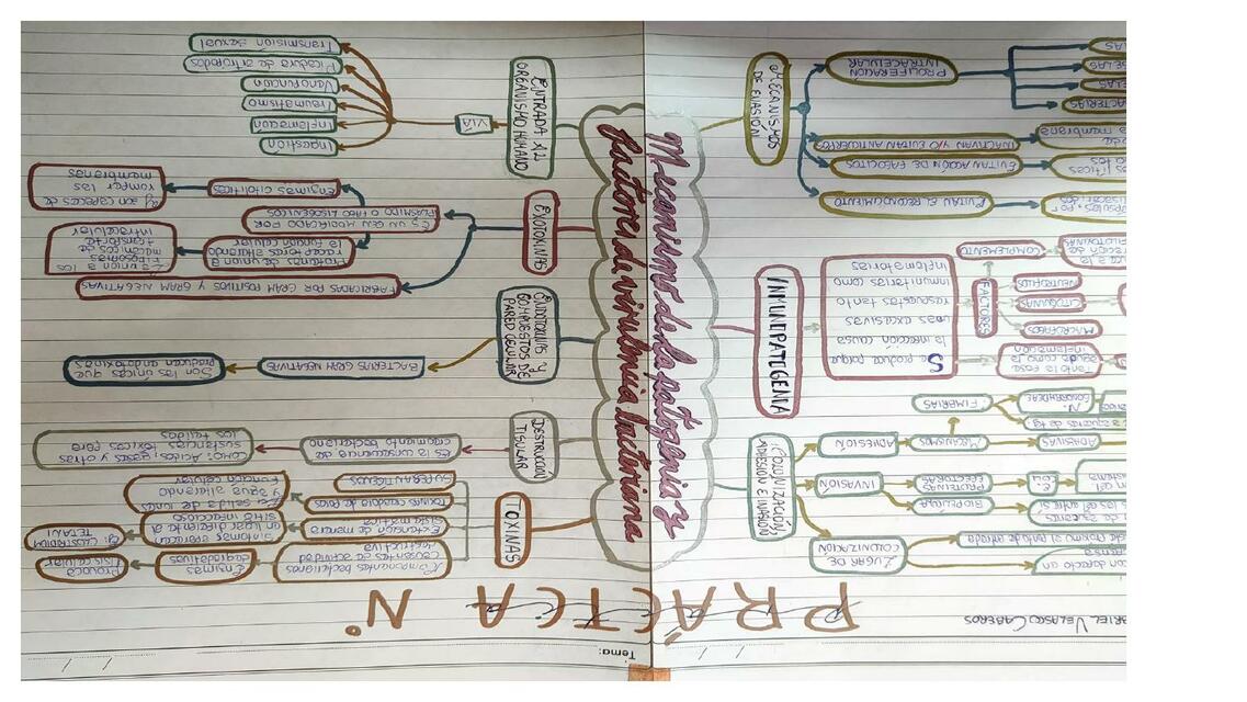 Mecanismos de patogenia y virulencia bacteriana | JUAN GABRIEL VELASCO ...