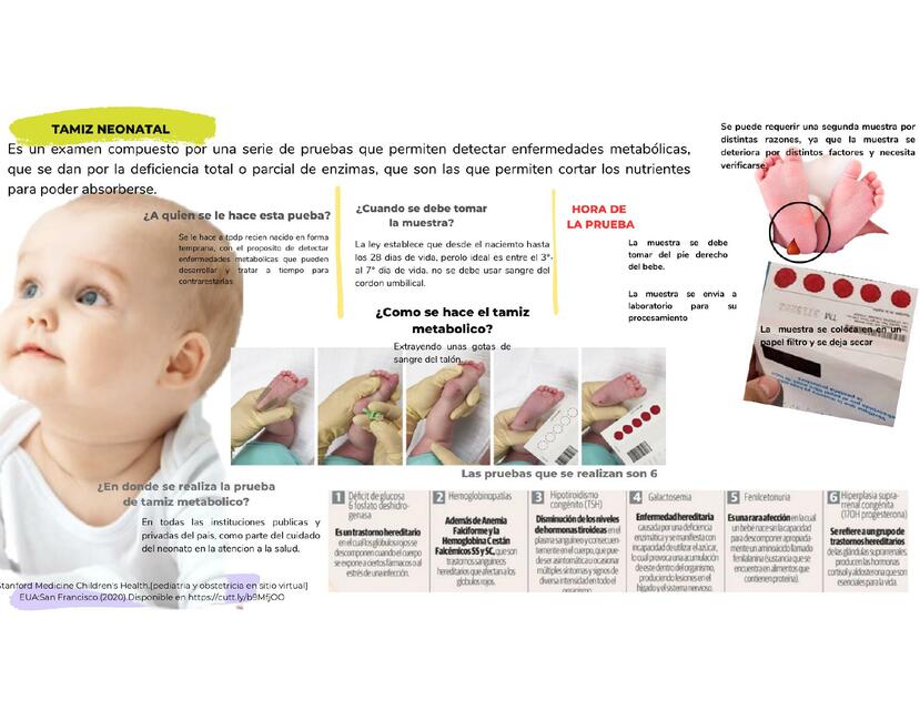 Tamiz neonatal | anna luna | uDocz