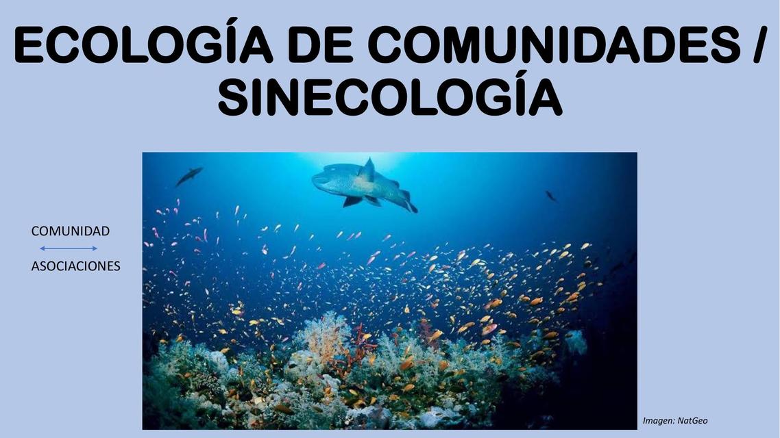 ECOLOGÍA DE COMUNIDADES | Santiago Bolarte | uDocz ECOLOGÍA DE COMUNIDADES | Santiago Bolarte | uDocz