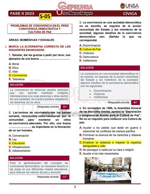 Problemas de convivencia en el Perú. Convivencia democrática y cultura ...
