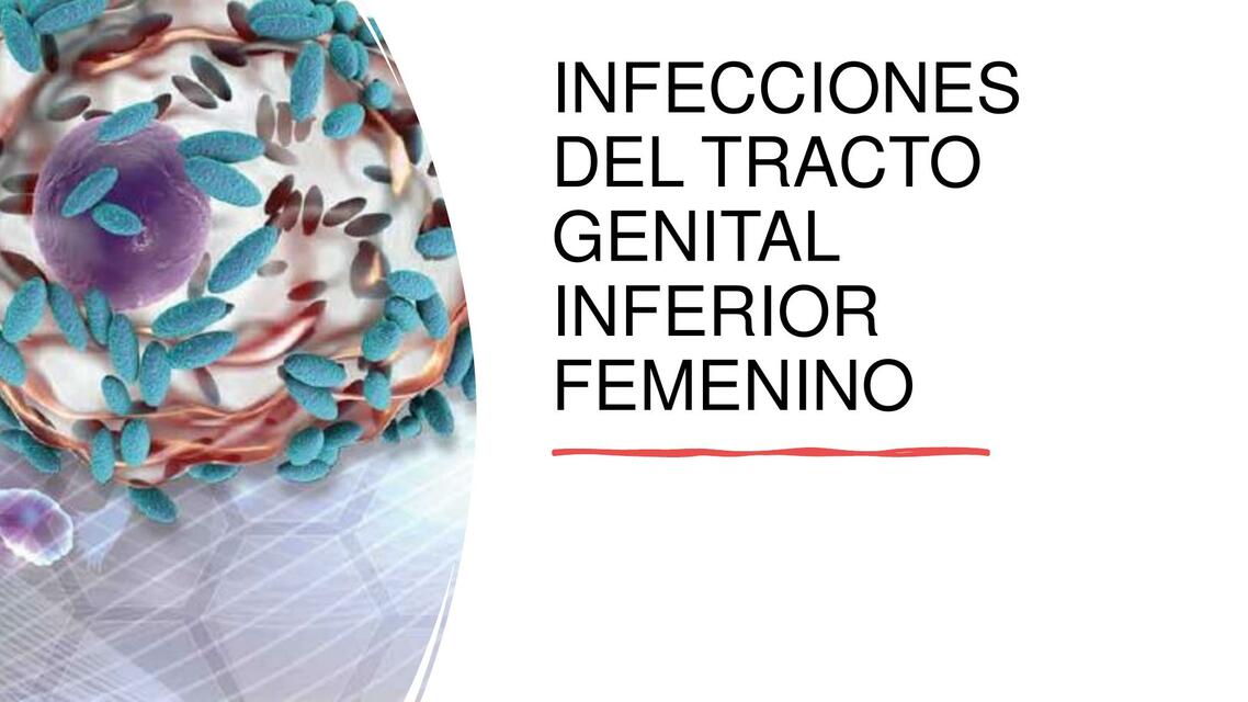 Resúmenes de Tracto Genital Inferior | Descarga apuntes de Tracto ...
