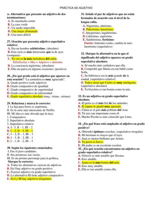 Práctica de Adjetivos | Erica | uDocz