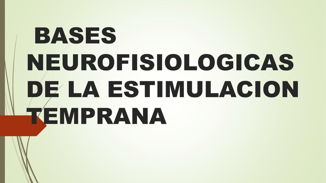 Bases Neurofisiológicas de la Estimulación Temprana | Pamela Peña gutiérrez | uDocz