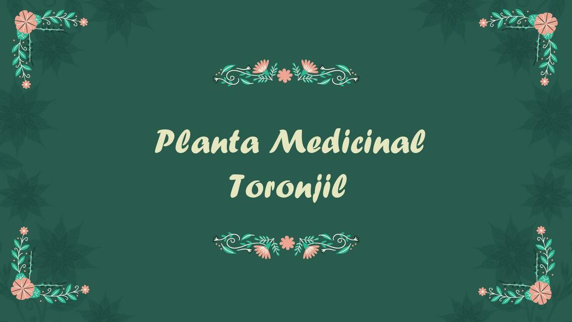 Planta medicinal: Toronjil | CAMLY | uDocz