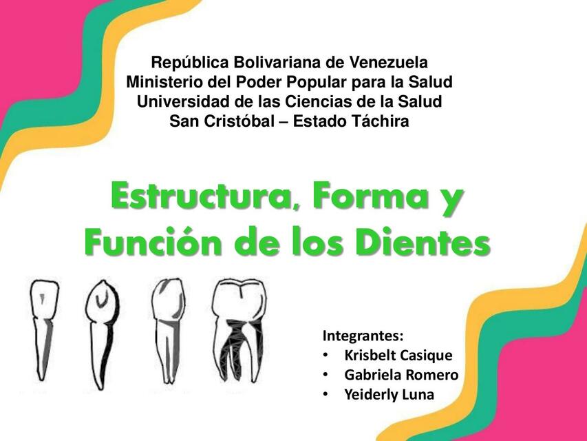 Estructura, Forma y Función de los Dientes | Krisbelt Casique | uDocz Estructura, Forma y Función de los Dientes | Krisbelt Casique | uDocz