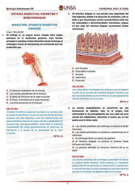 Resúmenes de Plexo de meissner | Descarga apuntes de Plexo de meissner